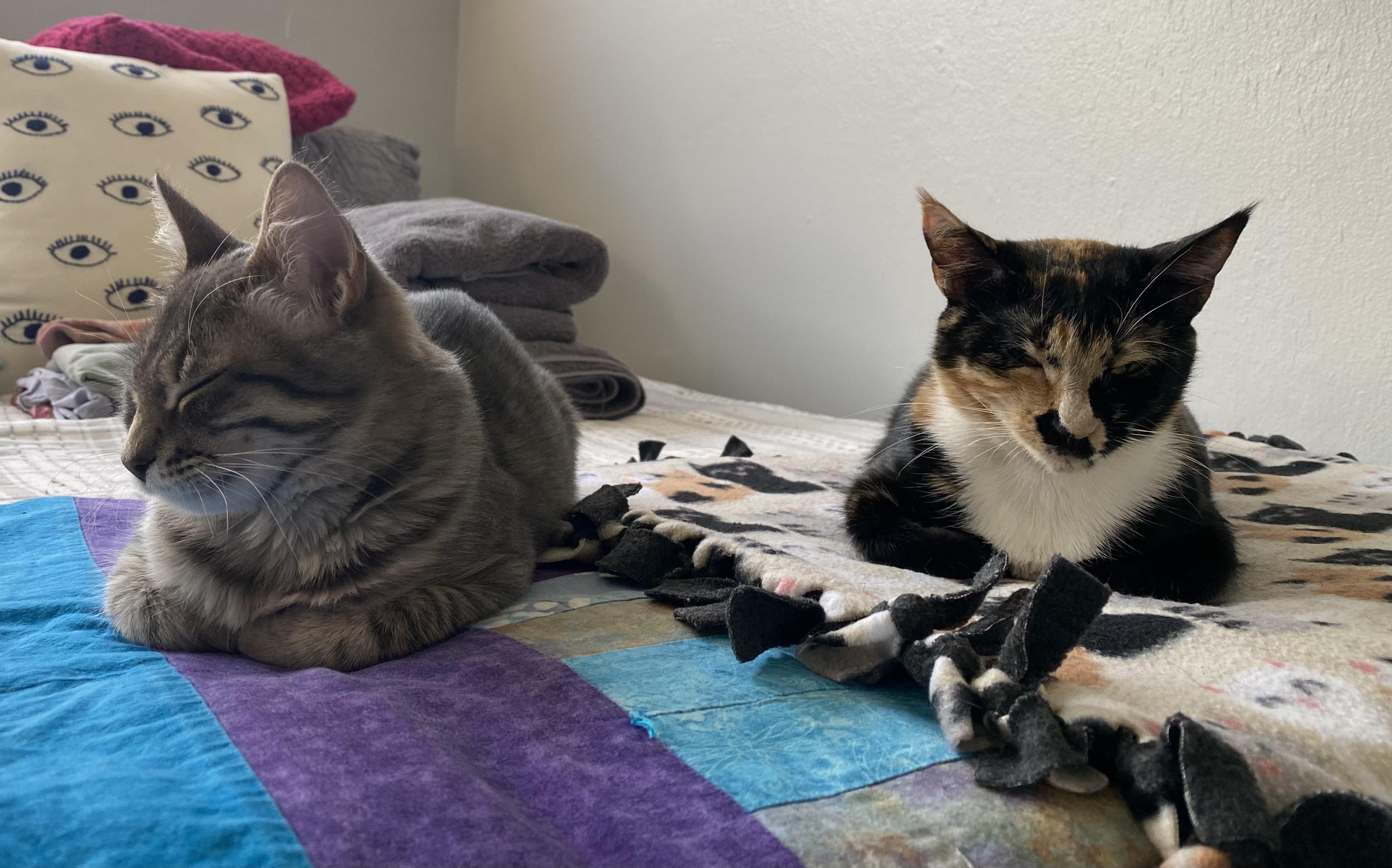 double loaf | Scrolller