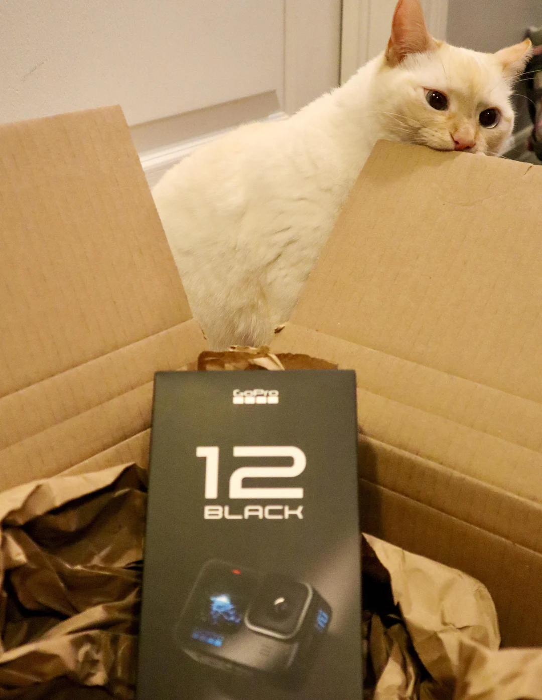 New camera just arrived and so far the packaging design is delicious | Scrolller