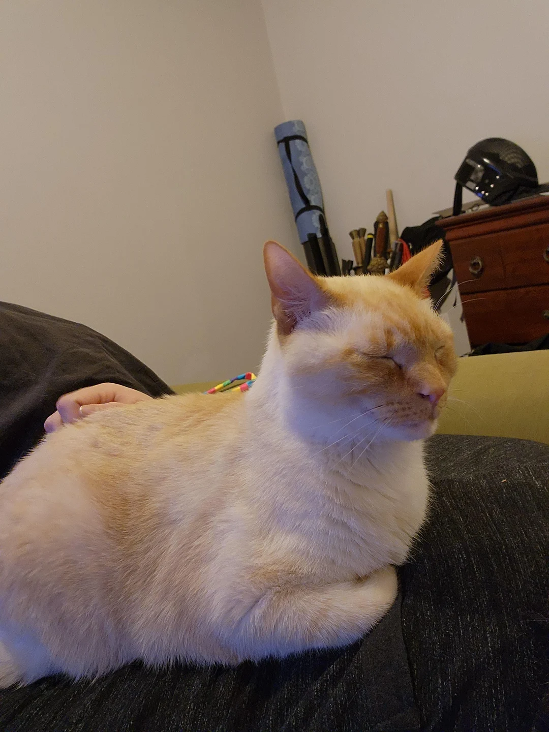 Little loaf boy | Scrolller