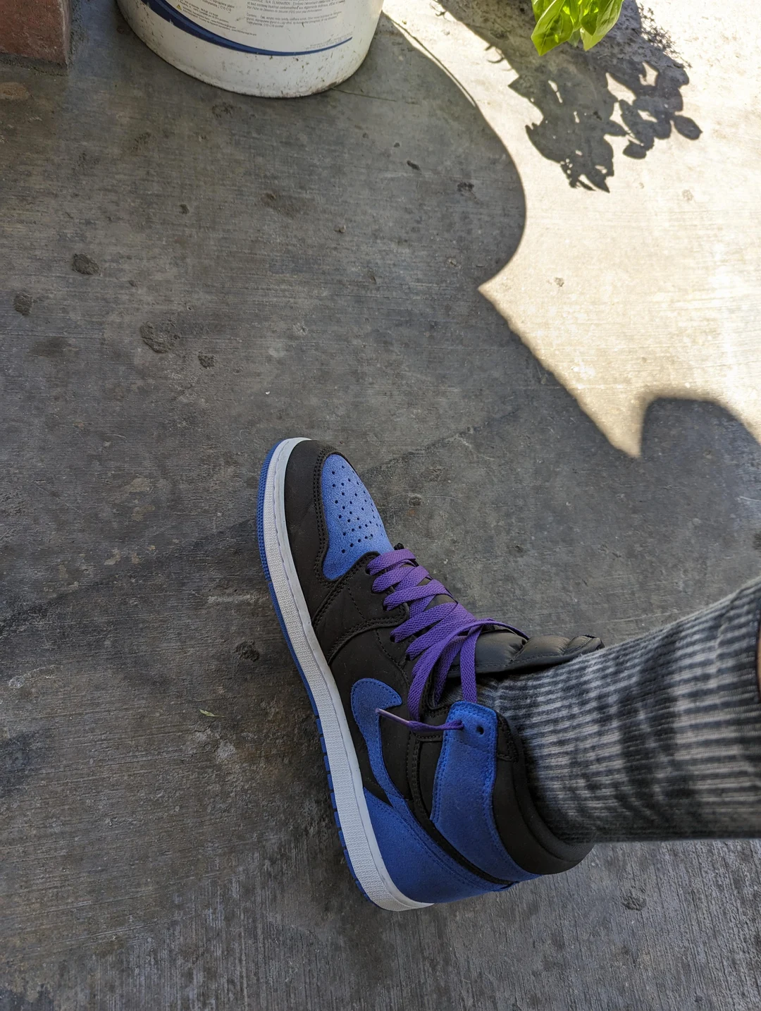 Waxed reimagined royals. Gotta impress the single moms | Scrolller