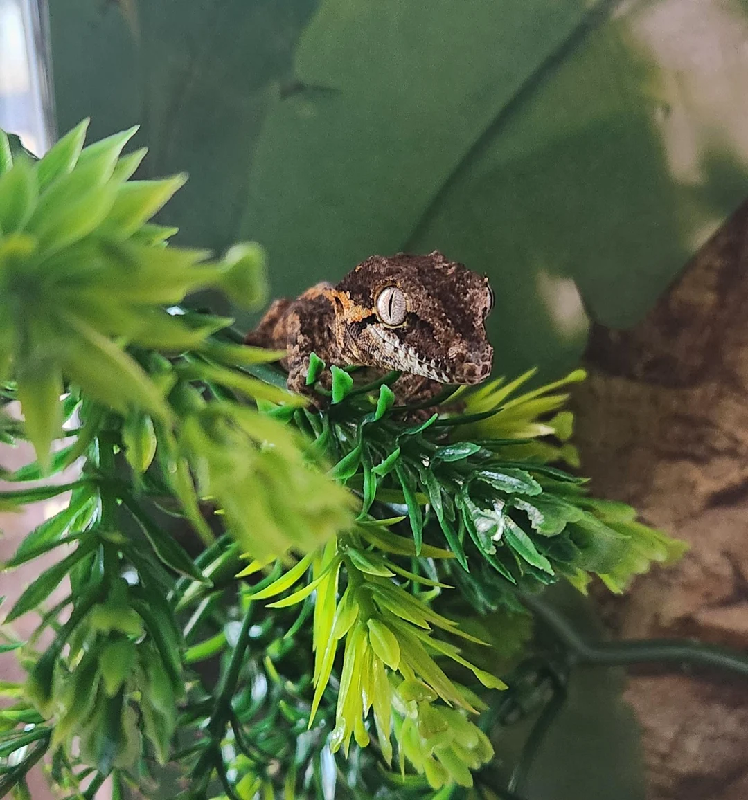 Going on vacation | Scrolller