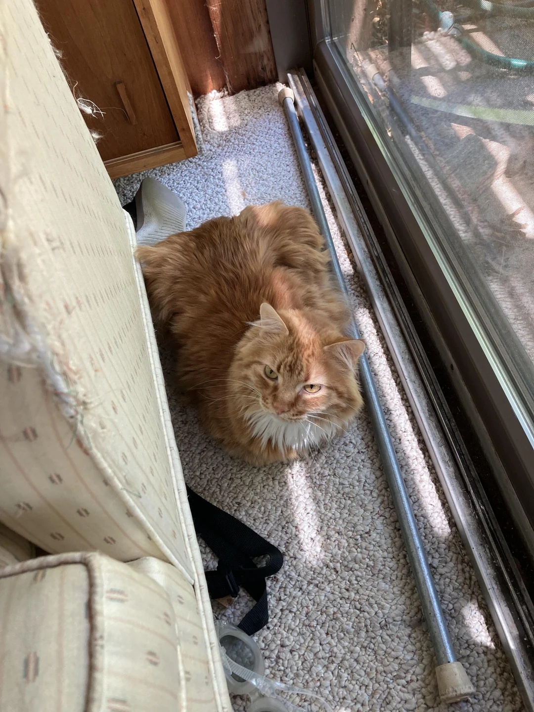 Nicely toasted loaf | Scrolller