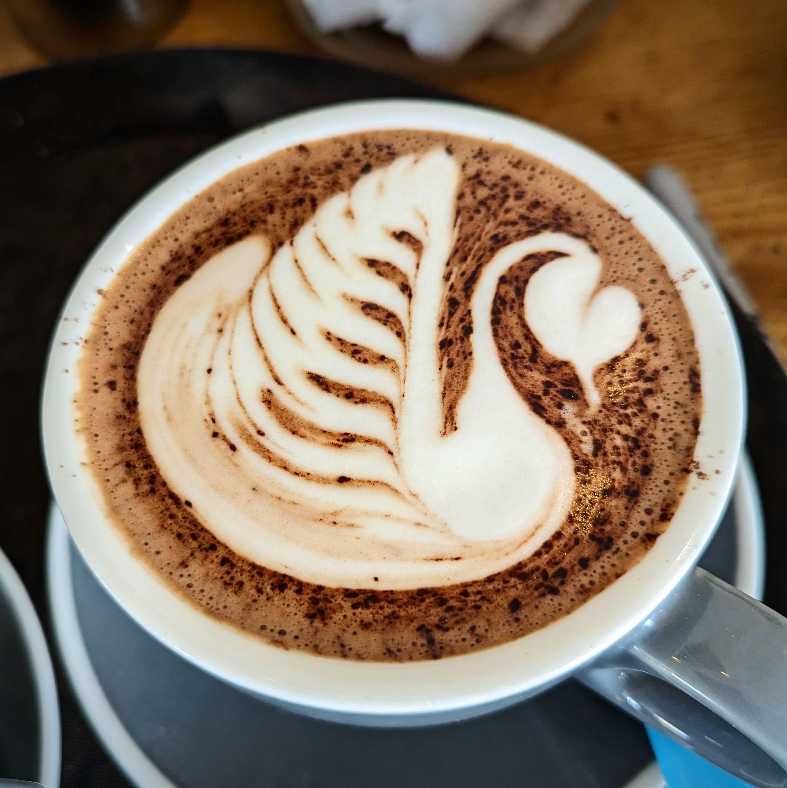 Swan from this morning | Scrolller