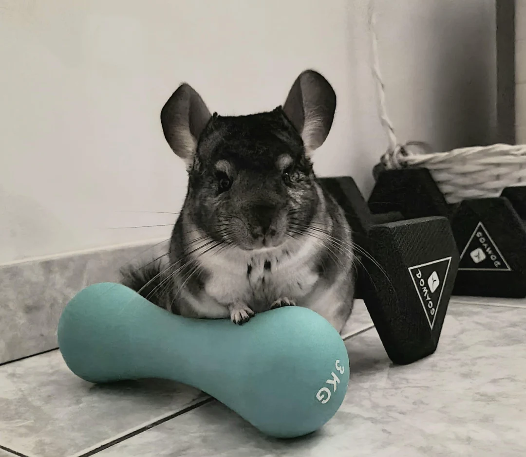 Getting stronger everyday 💪🏻 | Scrolller