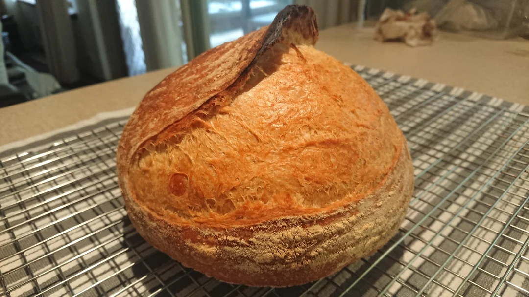 Saturday White Boule | Scrolller