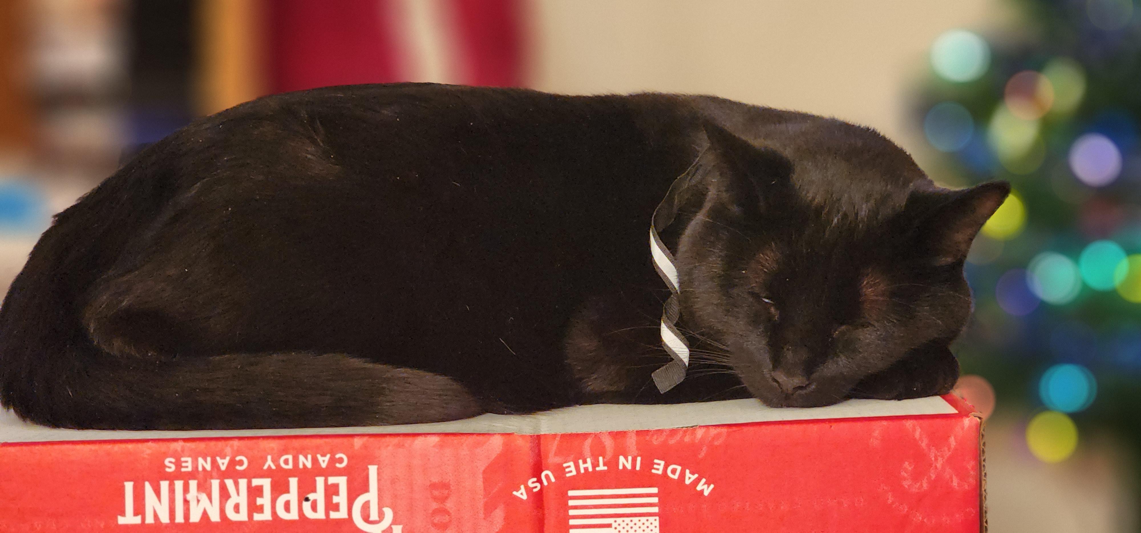 Box void | Scrolller