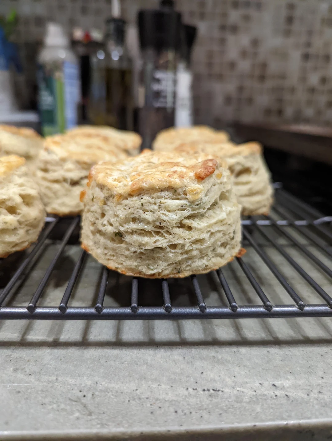 And on that day, a biscuit was born, the most perfect biscuit ever, and they named him "Cheesus ...