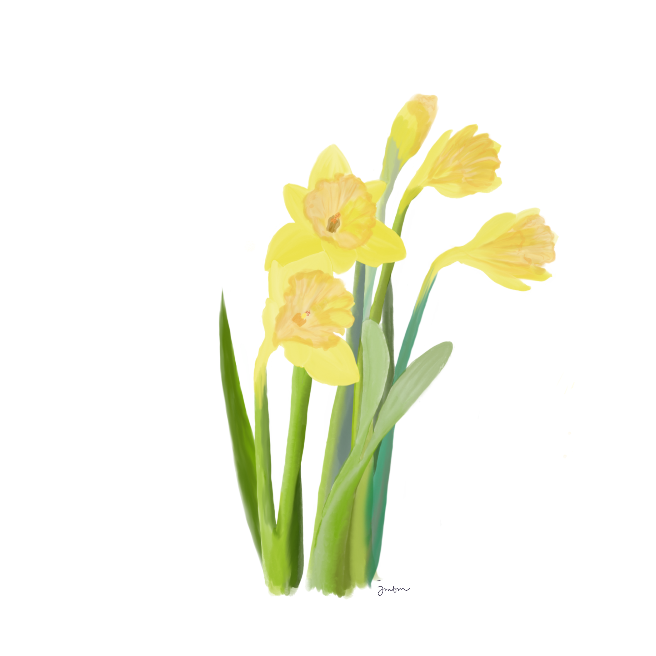 Daffodils (Rebirth), Me, Digital (Autodesk Sketchbook), 2021 | Scrolller