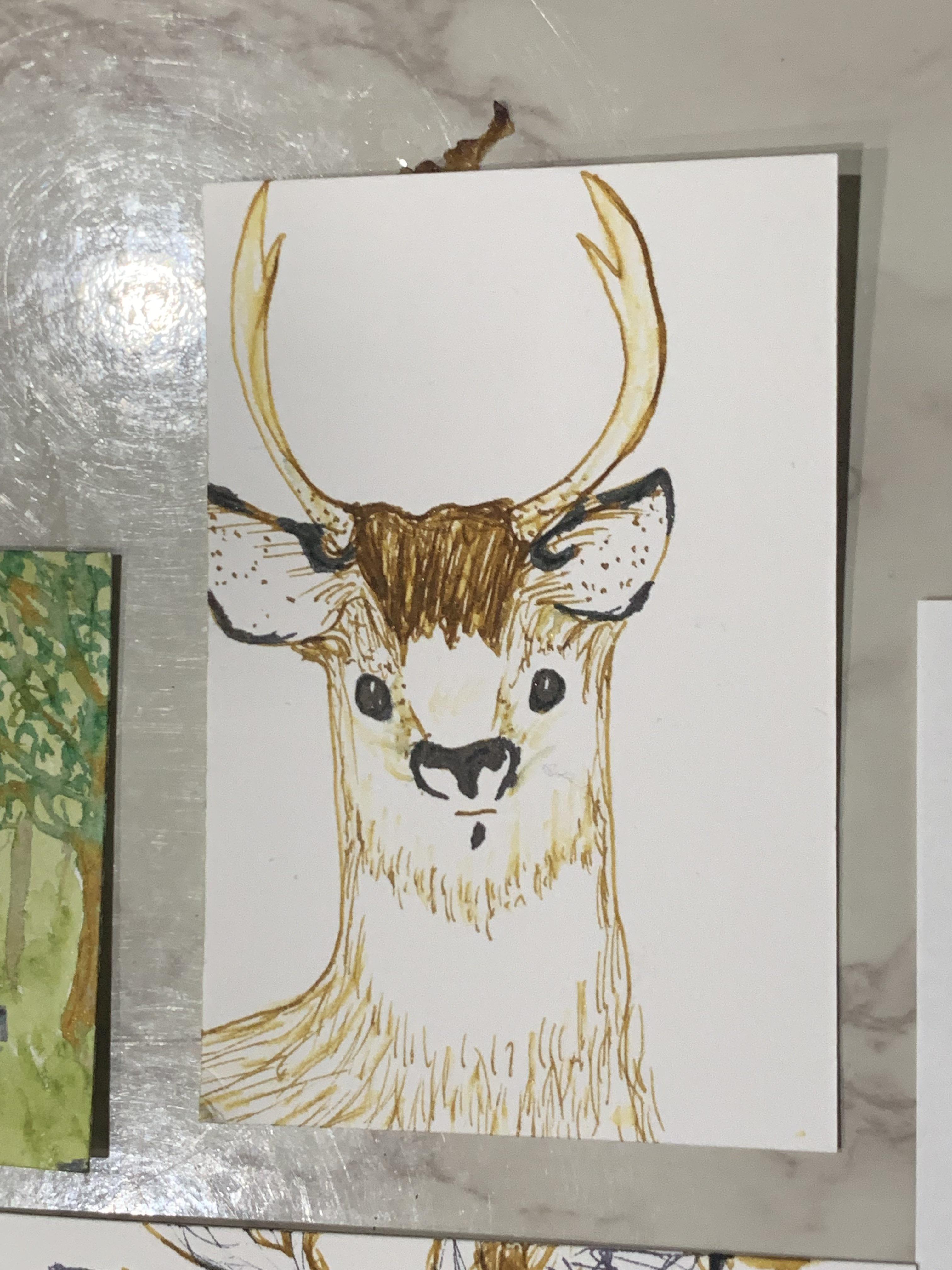 No thoughts, head pointy | Scrolller