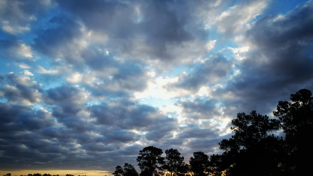 Holy Mackerel [OC] | Scrolller