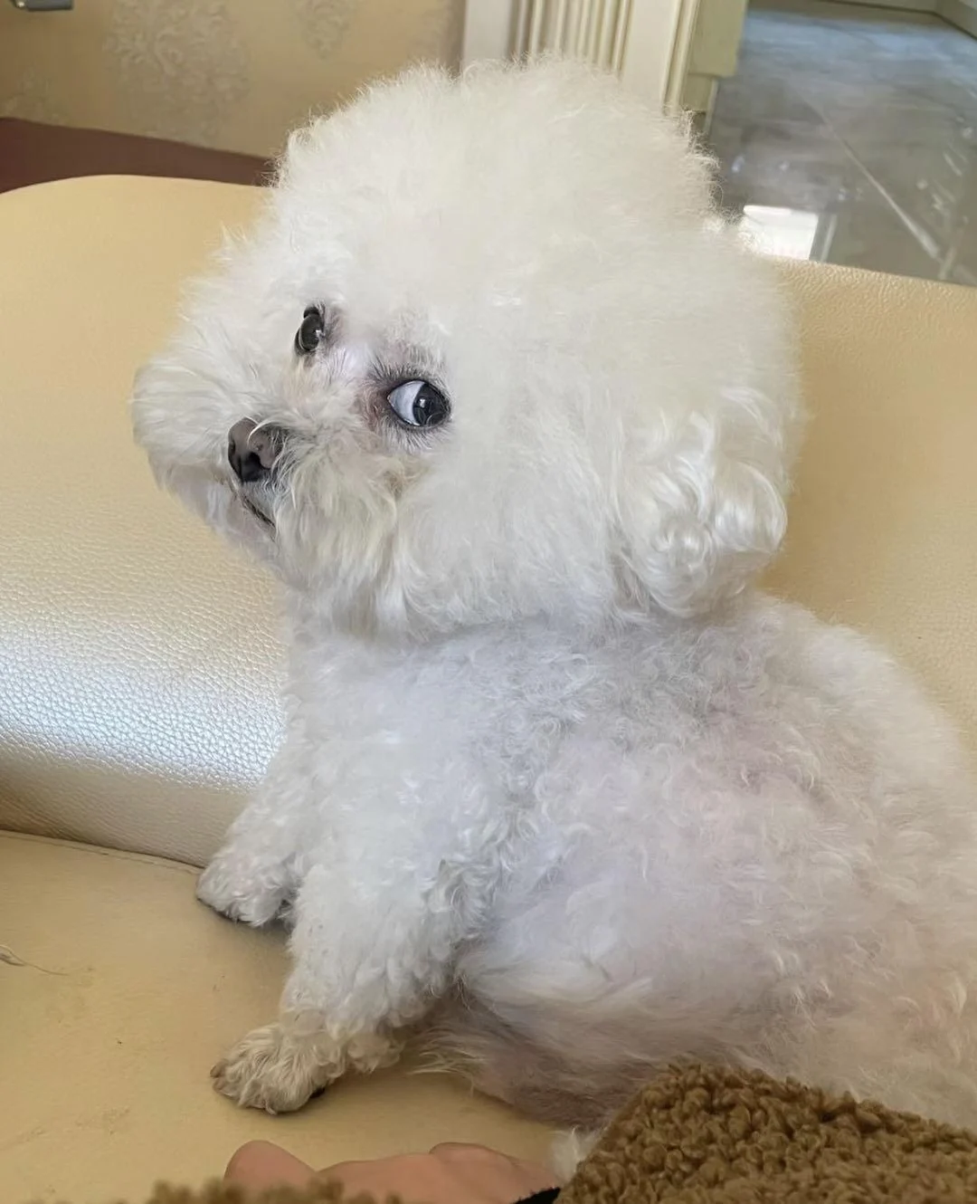 she is so angry | Scrolller