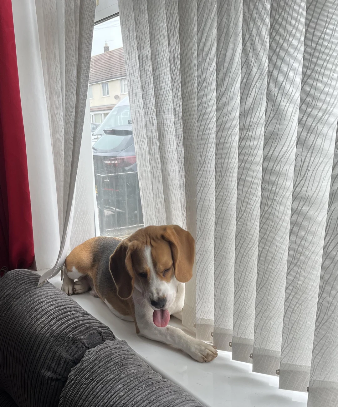 I thought I was allowed up here Daddy | Scrolller