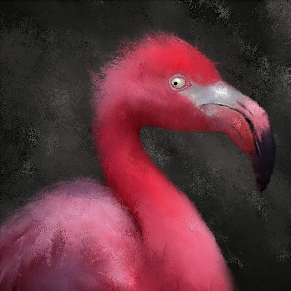 Enigmatic Pink Flamingo, merryclaude, Digital, 2024 | Scrolller