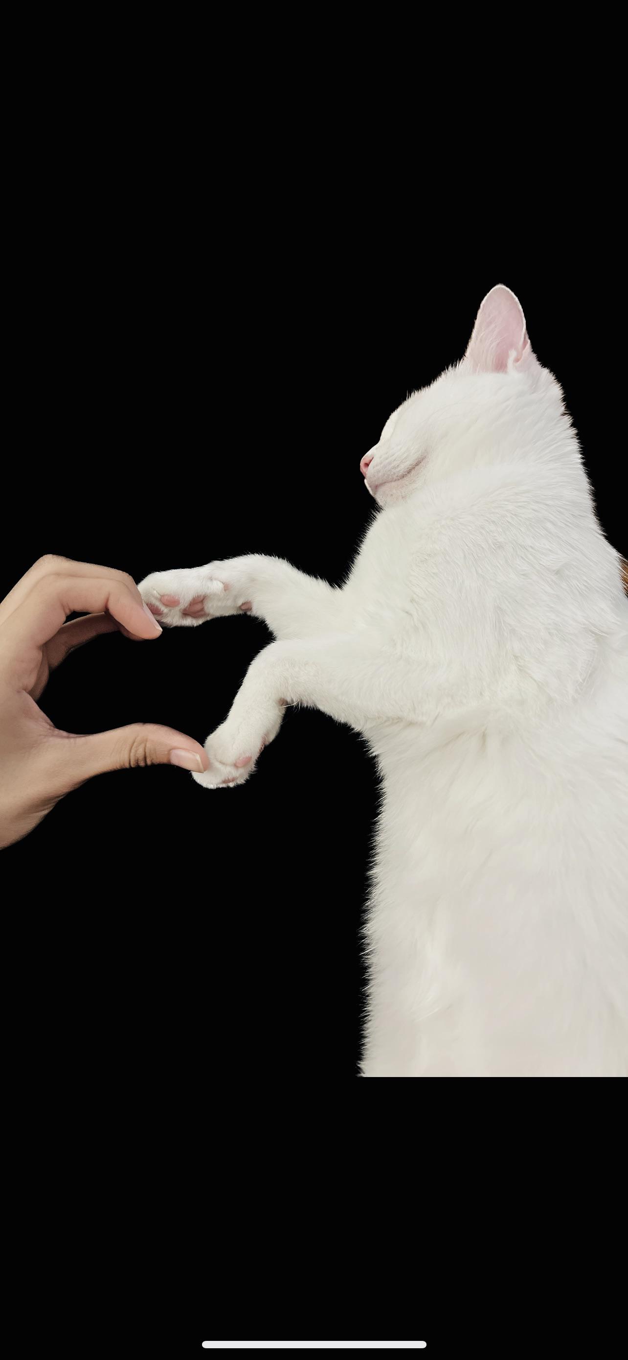 Hi i just wanted to share my new lockscreen [oc]