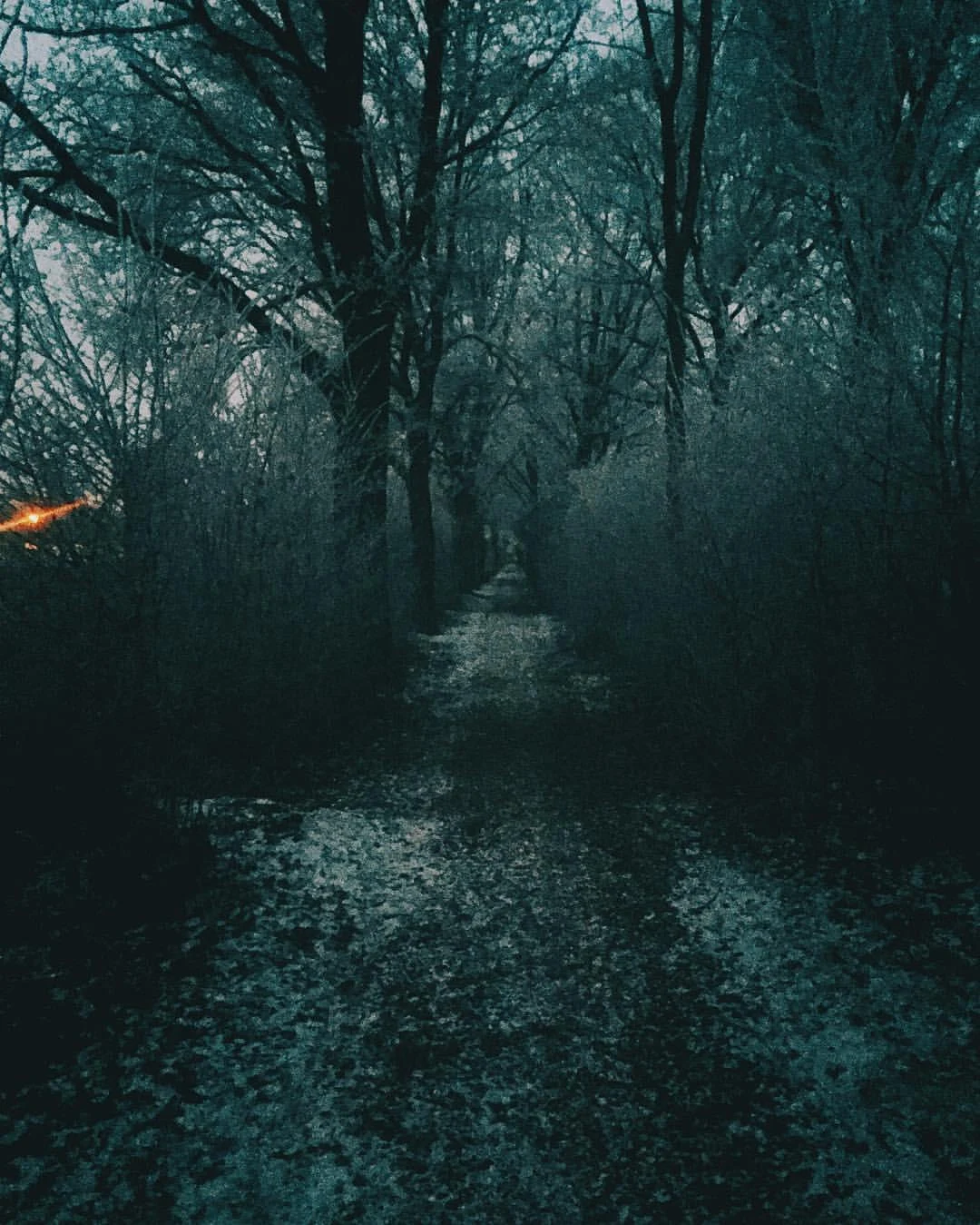 Winter nights | Scrolller