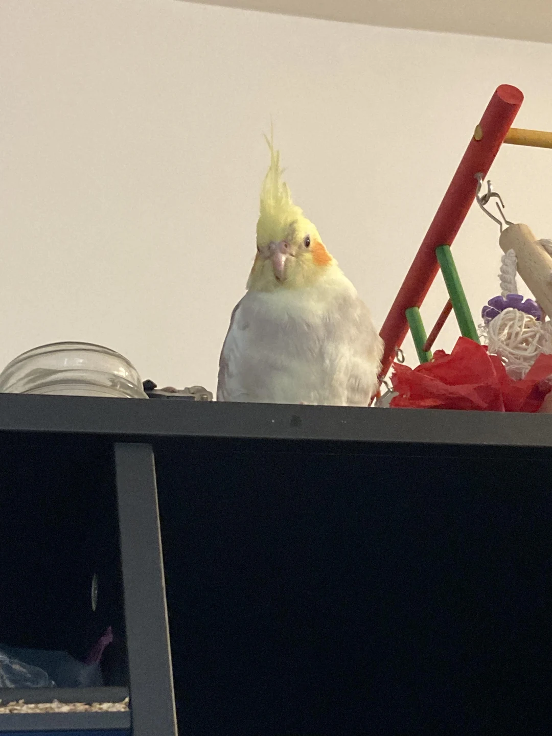 The Overseer sees all. | Scrolller