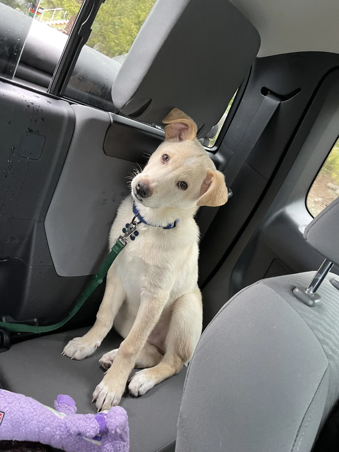 More Bender! Still Great! | Scrolller