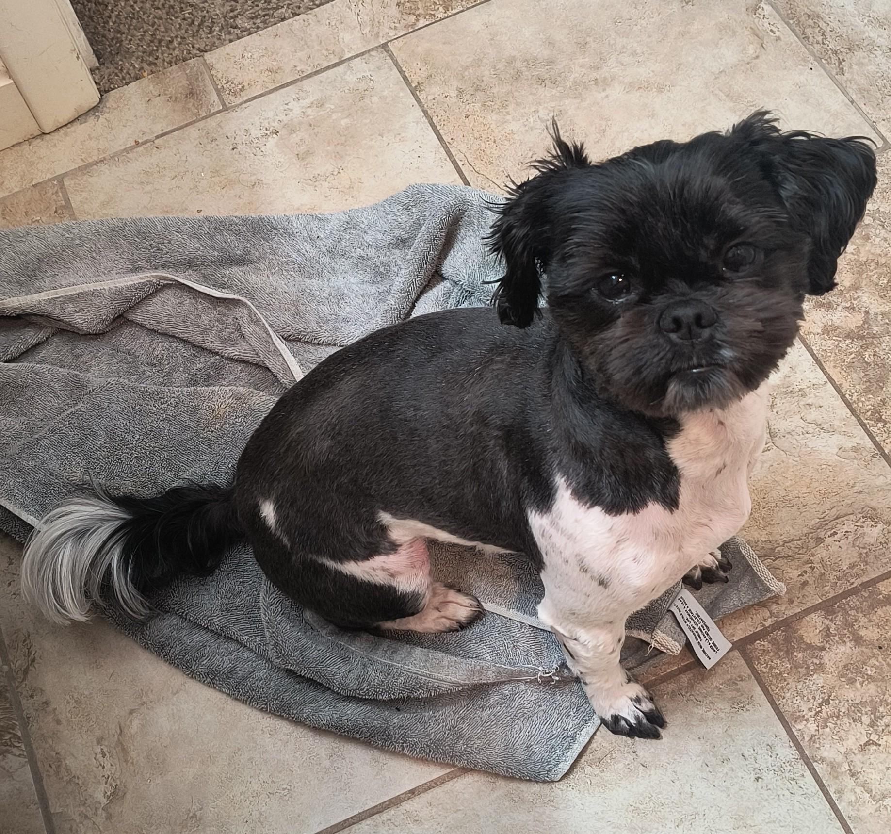 Fresh groom | Scrolller