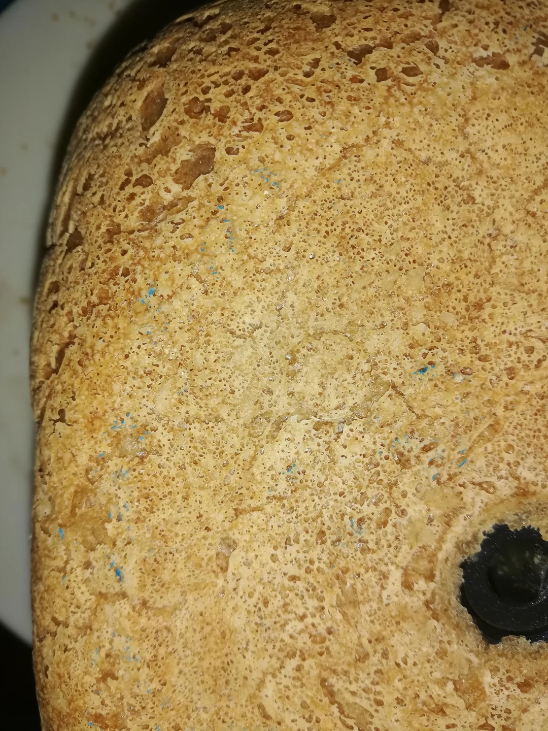 Blue spots on freshly baked bread? What is that?? Made in a bread baking automat | Scrolller