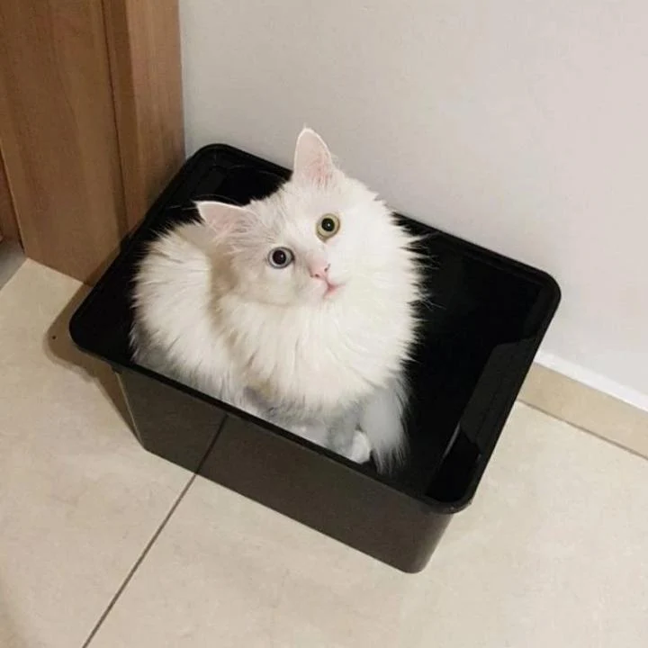 Works everytime | Scrolller