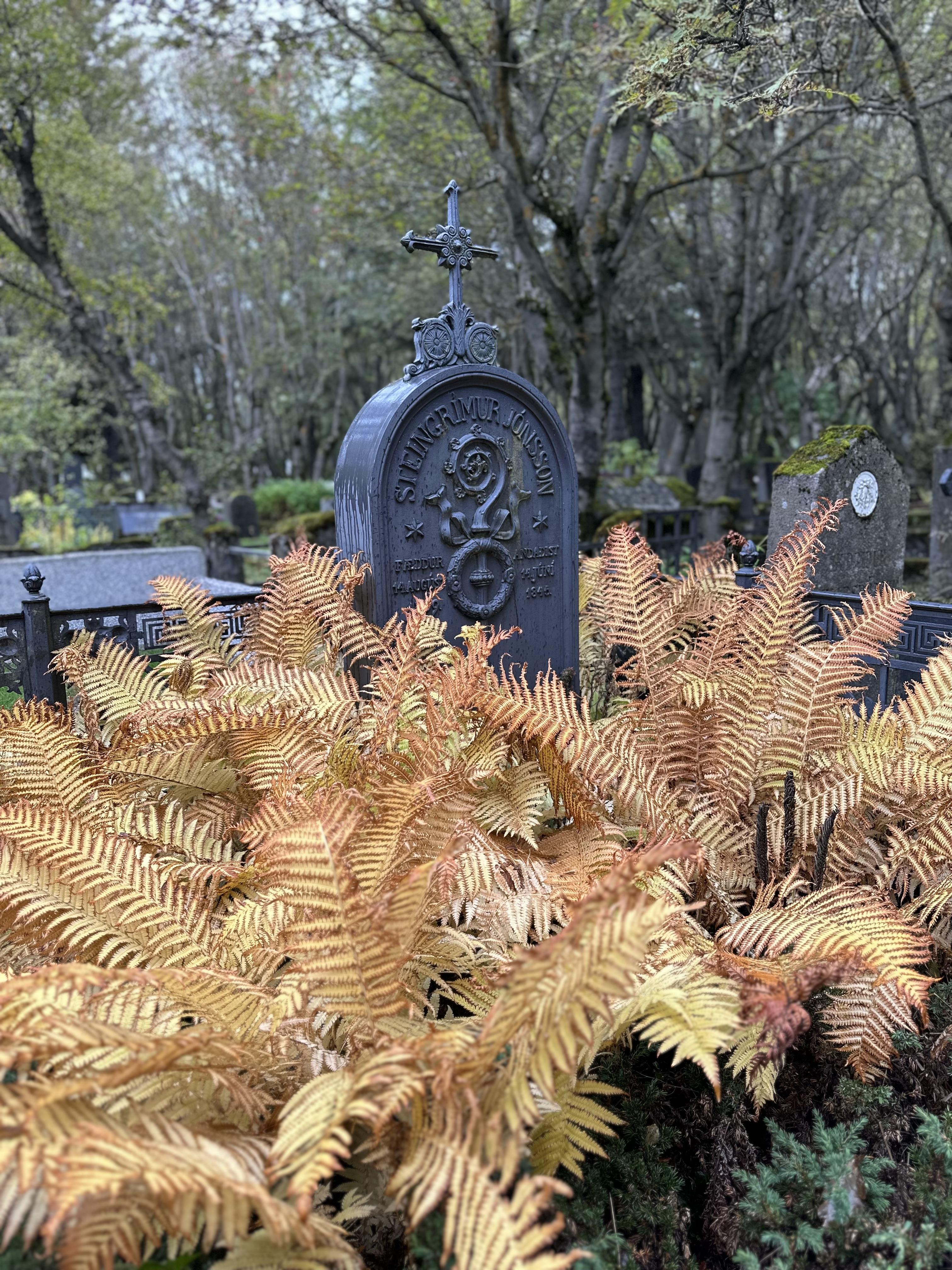 Reykjavik Iceland | Scrolller