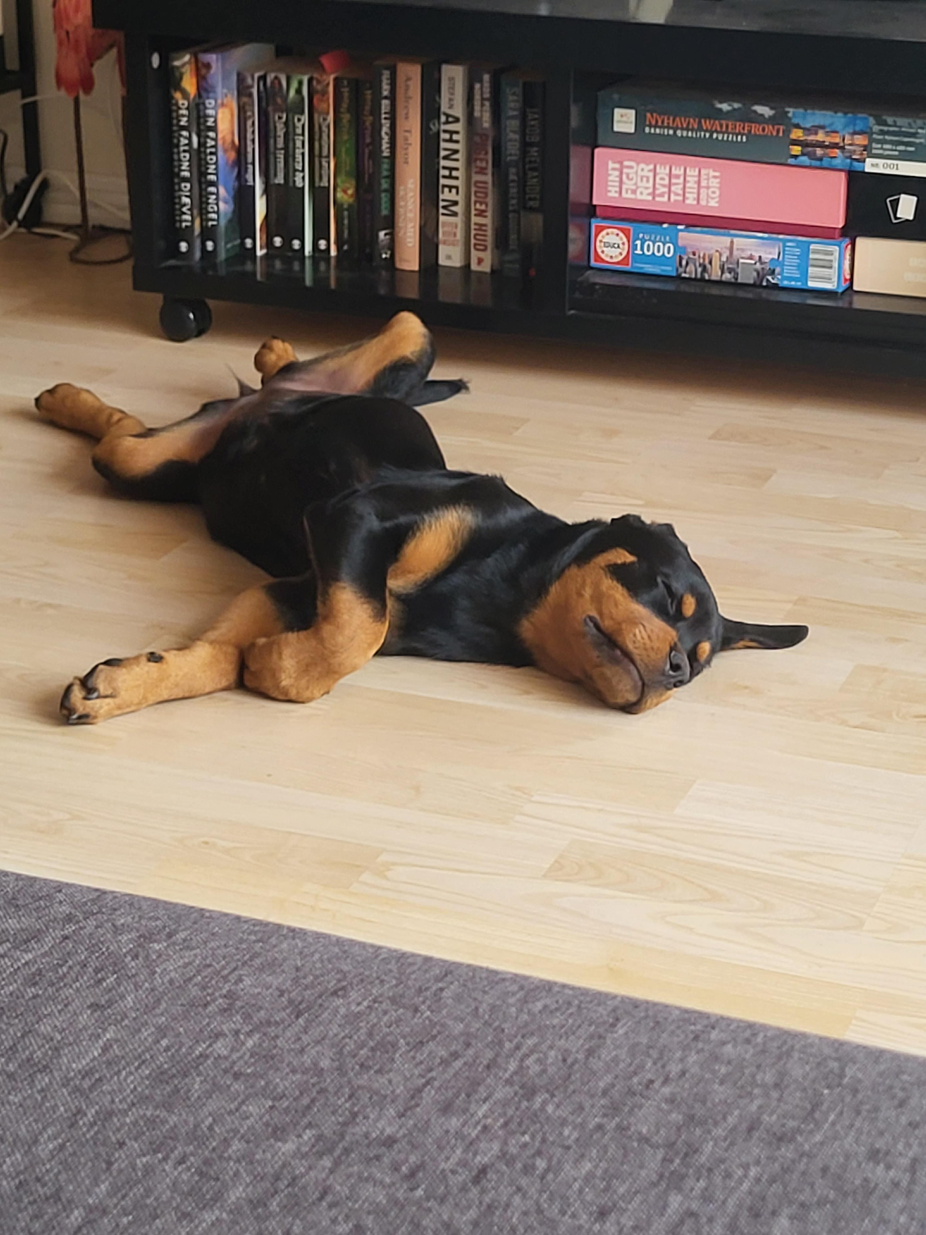 Just chilling | Scrolller