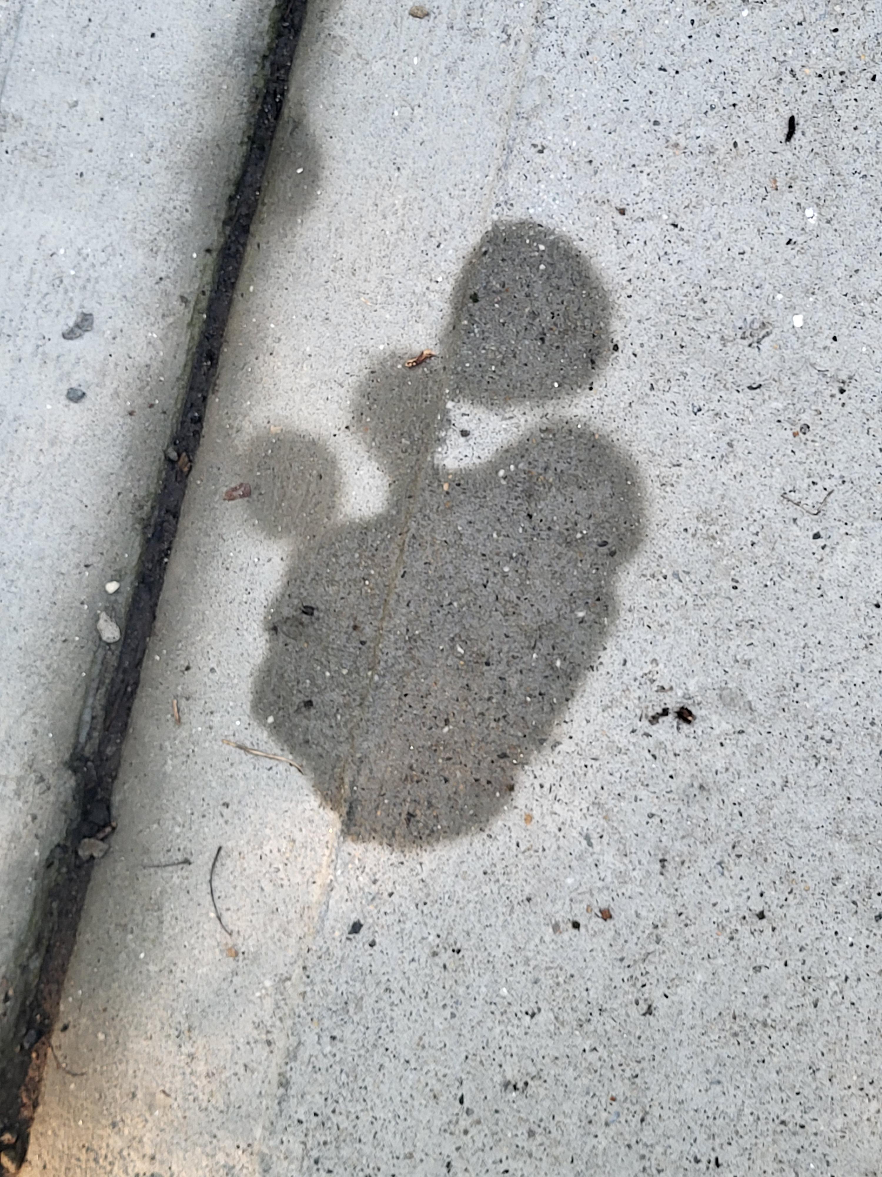 What footprint are these | Scrolller