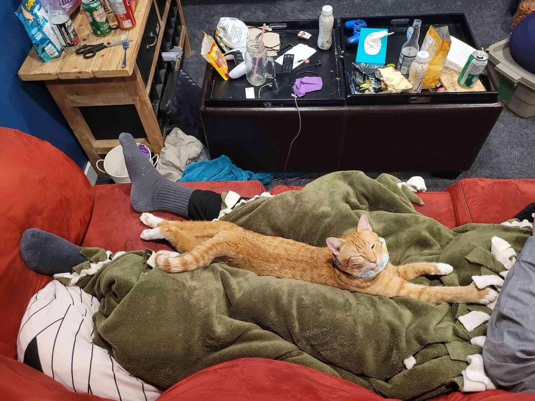 Long Comfy Lads Scrolller