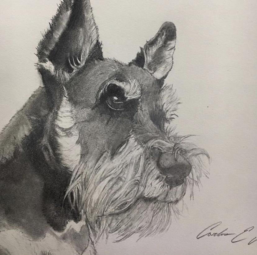 More doggo art | Scrolller