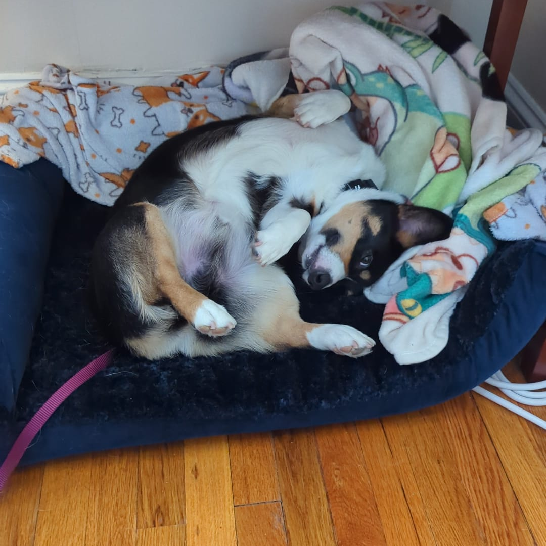 What's this pose called? | Scrolller