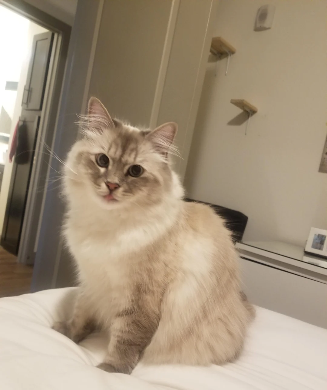 Discover more like Floof: hey vanilla zoob and Related Content | Scrolller