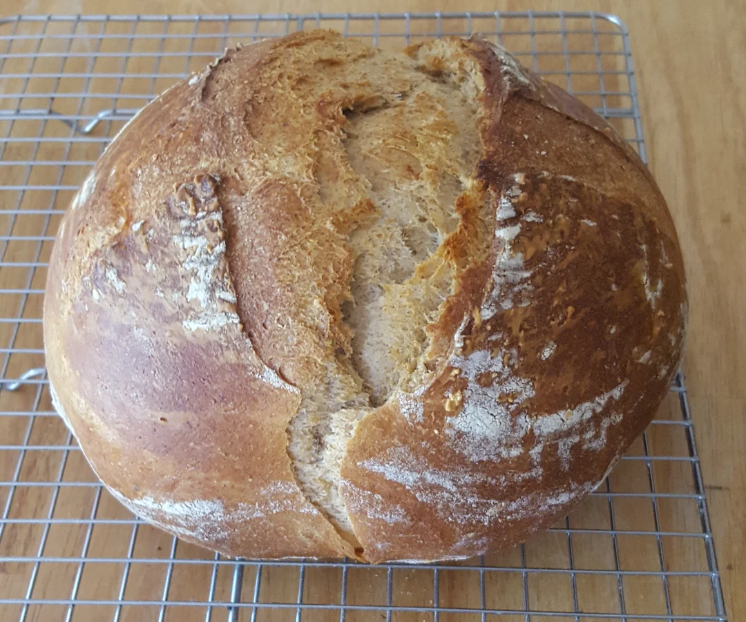 Sour Dough Rye | Scrolller