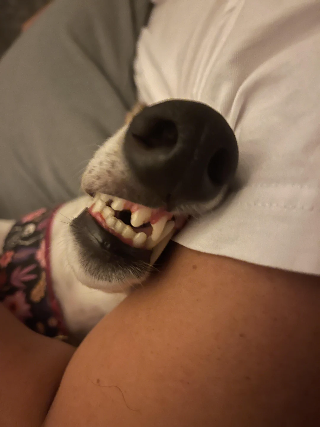 Goodnight friends | Scrolller