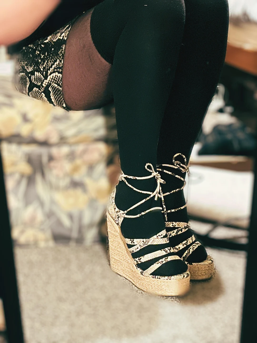 You put up the hearts and I’ll put up both my aces x | Scrolller