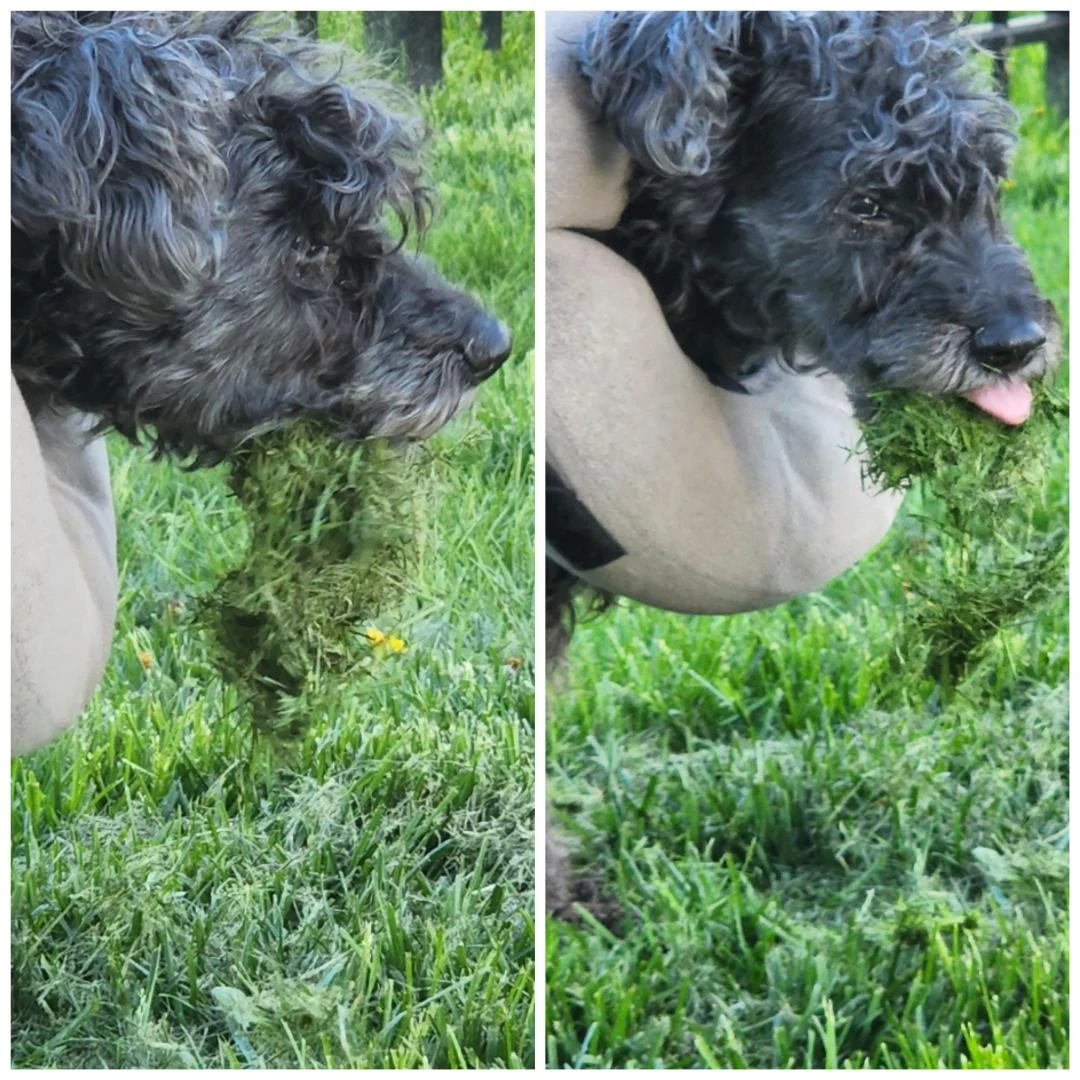 It's grass cutting season.. | Scrolller