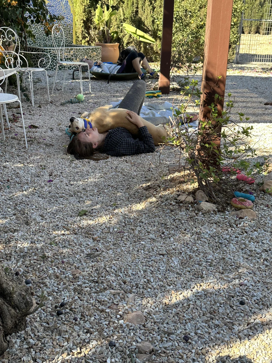 Is this sweet cuddly behavior or dominance? | Scrolller