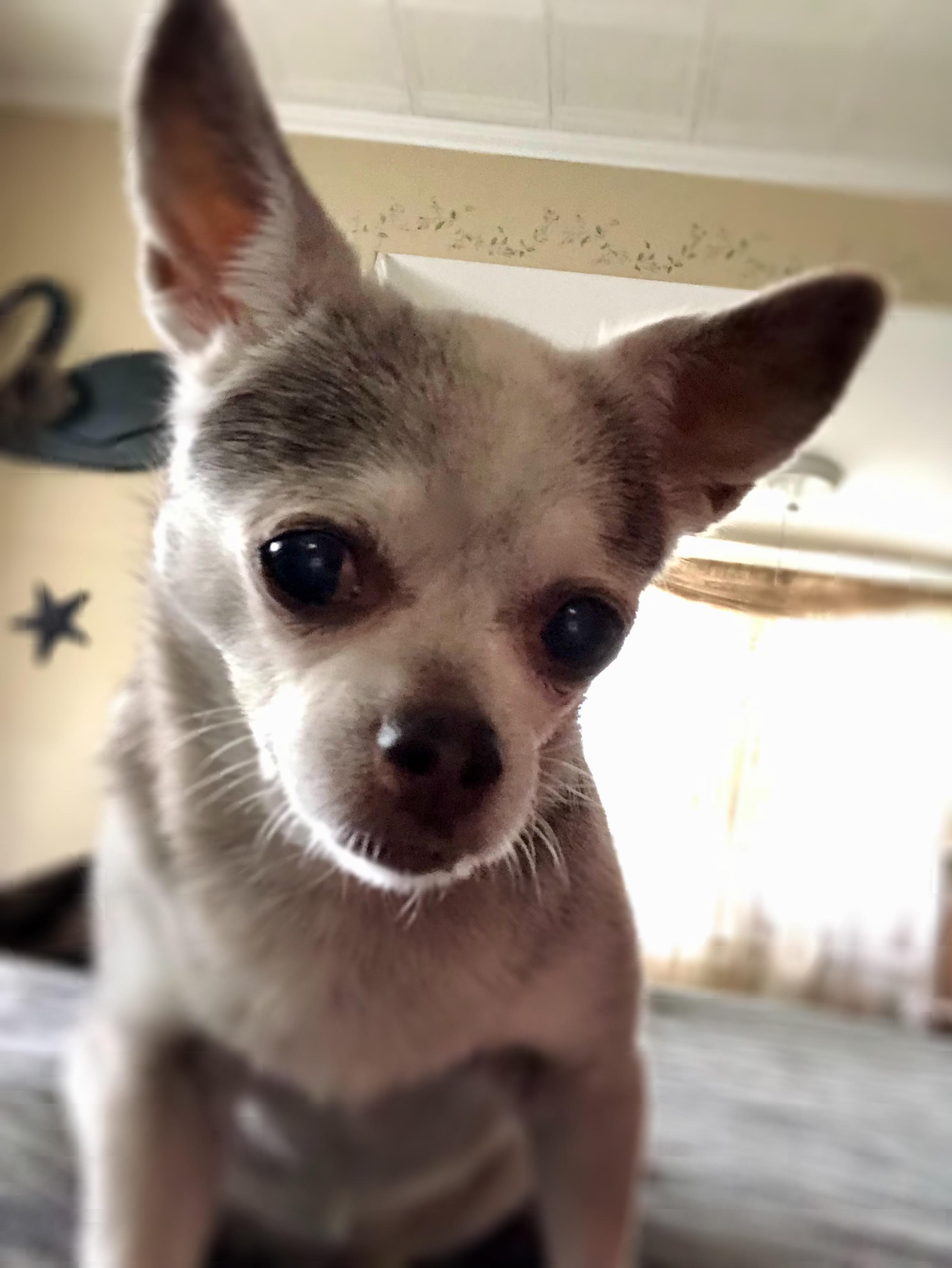 She’s always camera ready ⭐️ 📸 | Scrolller