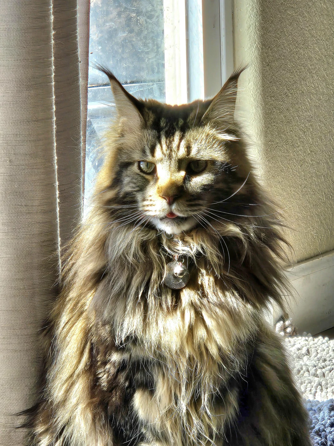 Sun bathing | Scrolller