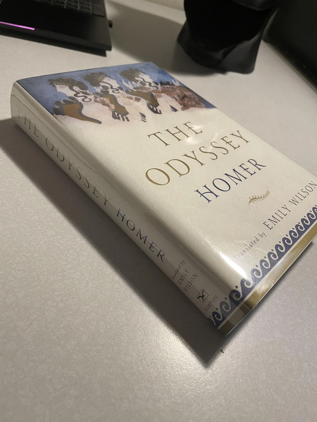 The Odyssey, by Homer and translated by Emily Wilson 2018 hardcover ...