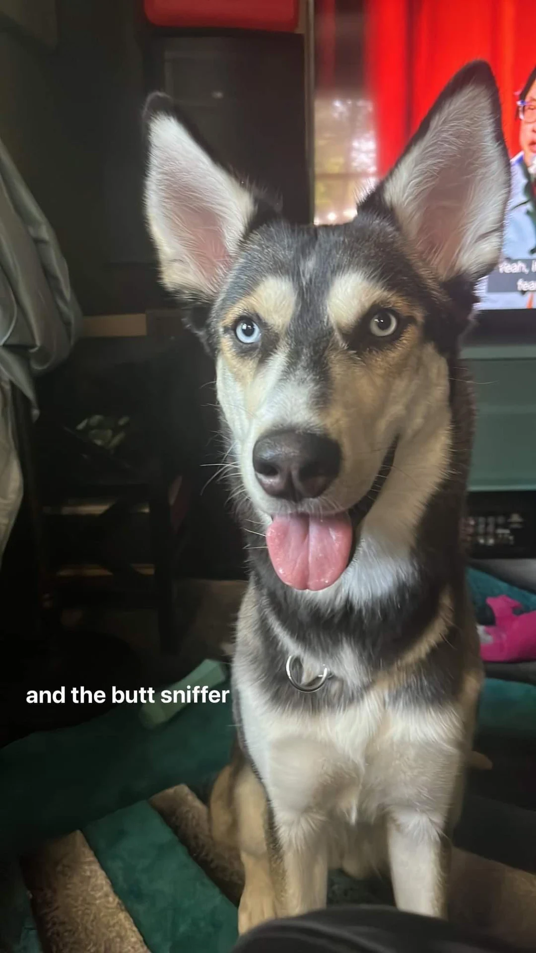 just because | Scrolller