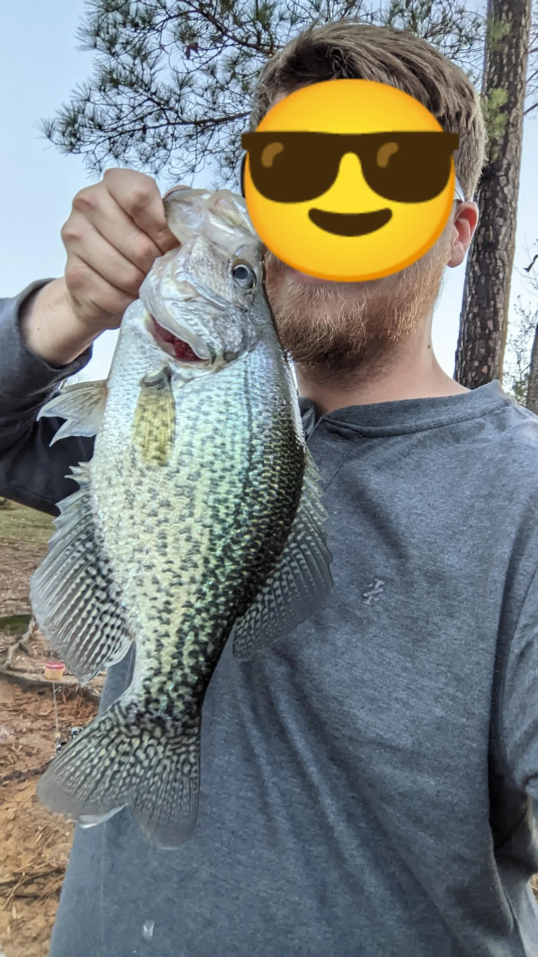 First Ever Slab! Hit a Texas Rigged Senko on the Fall While Bass Fishing | Scrolller
