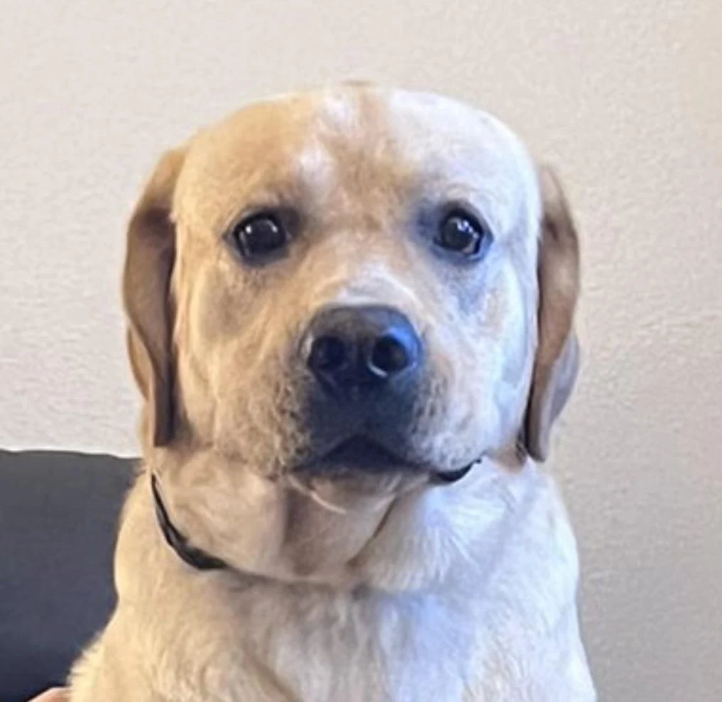 I feel like I offended him somehow… | Scrolller