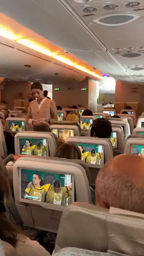 Passengers at 30,000 feet watching Cortnee score the winner | Scrolller