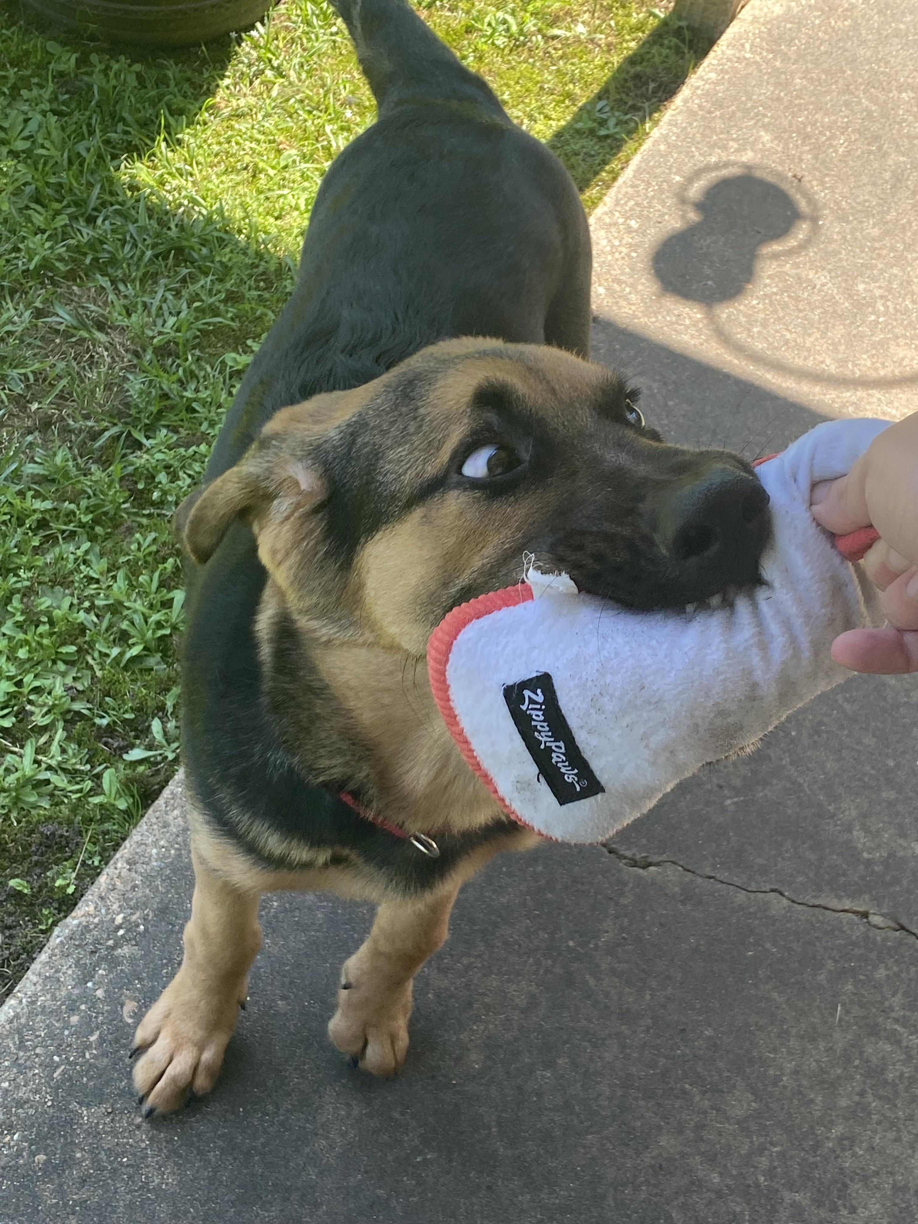 Stinky Boi | Scrolller