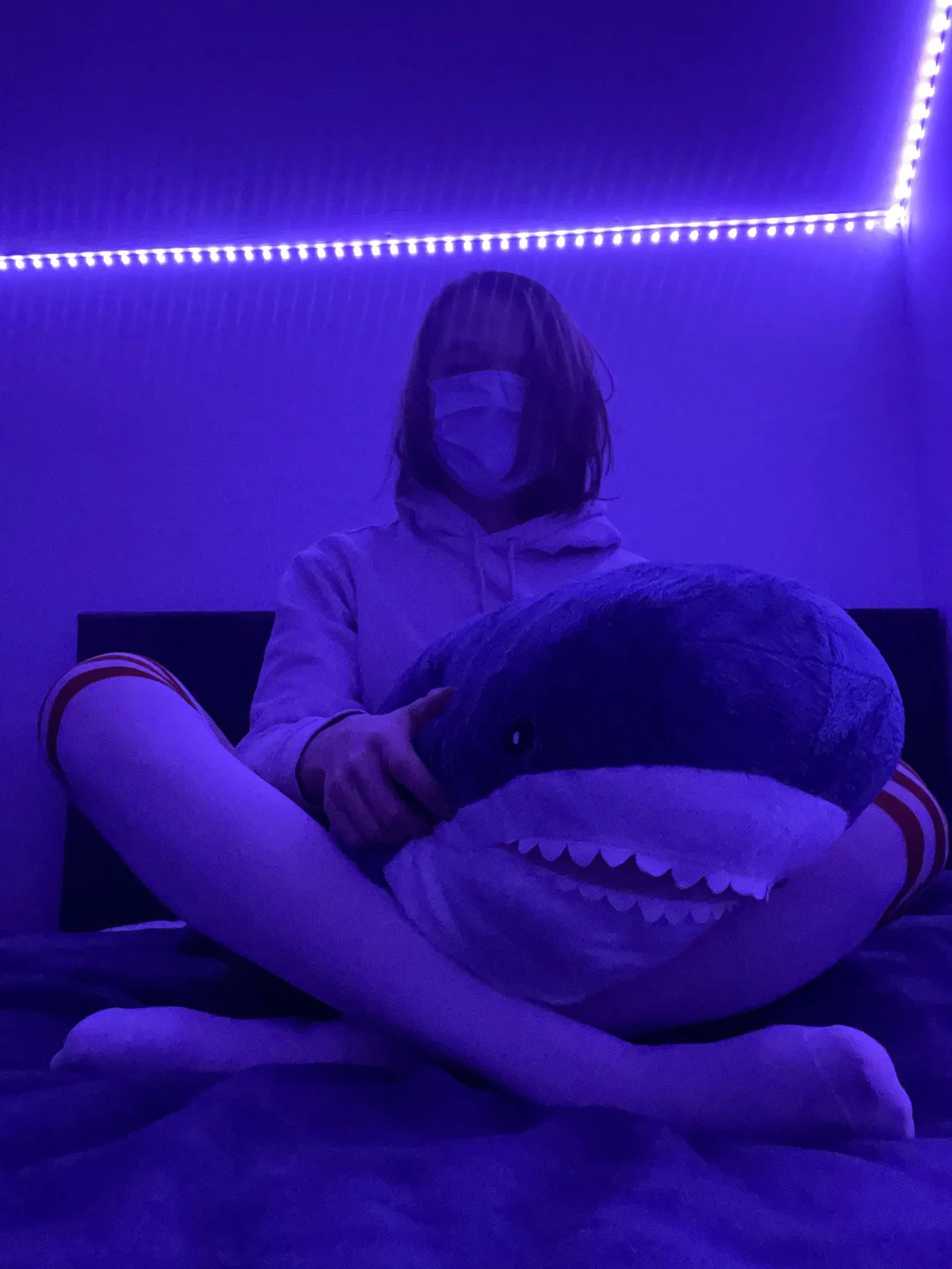Chilling in bed 🛌 with blahaj 🦈 | Scrolller