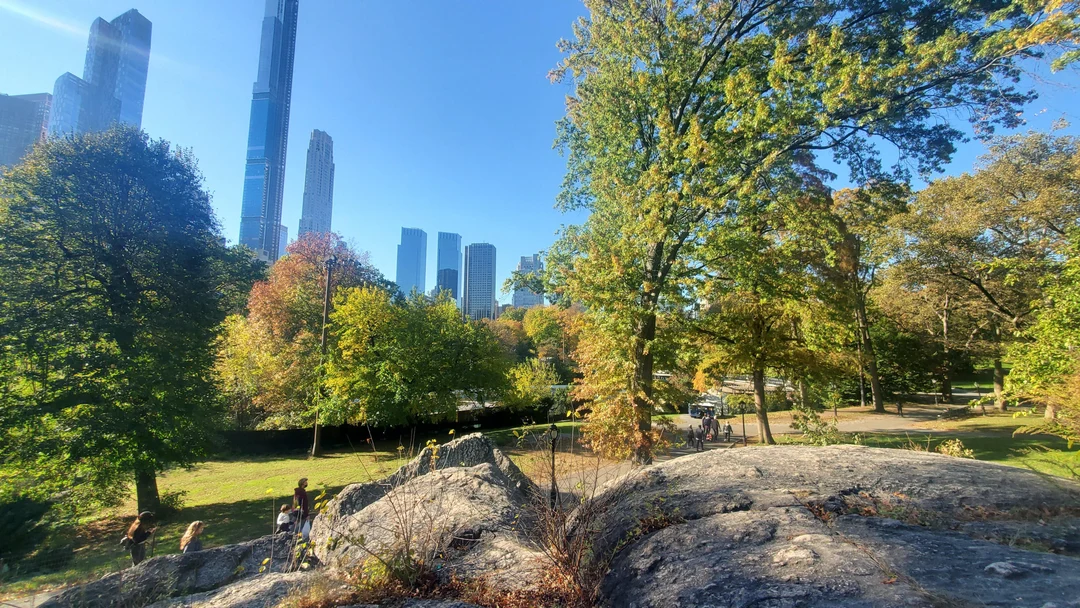 View from Central Park NYC | Scrolller