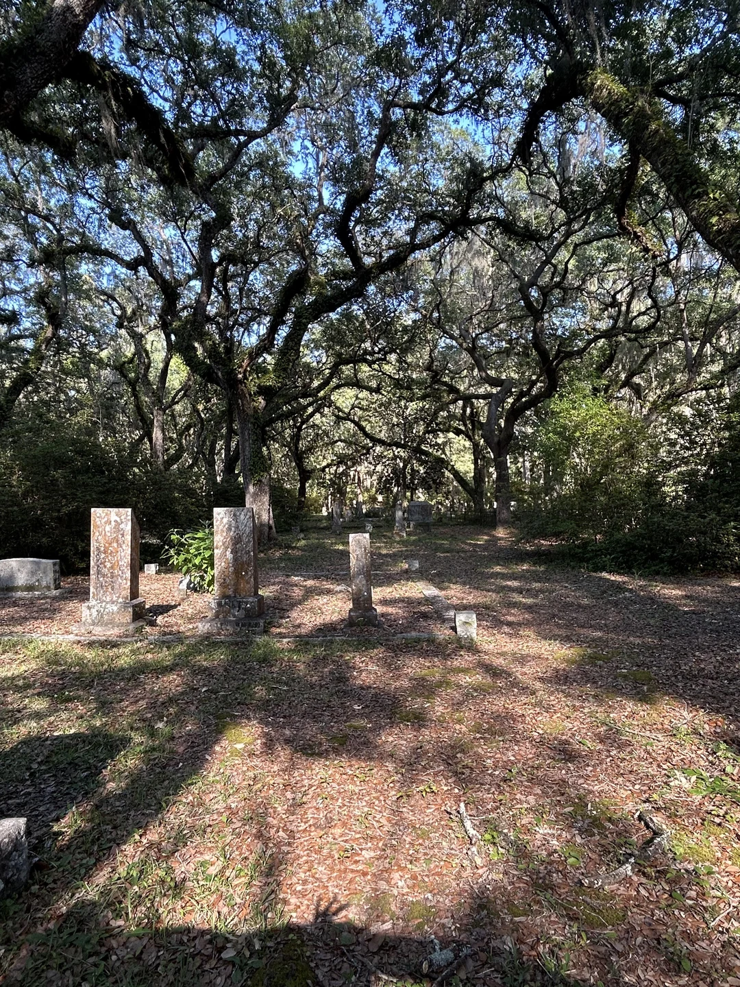 Micanopy Historic Cemetery | Scrolller