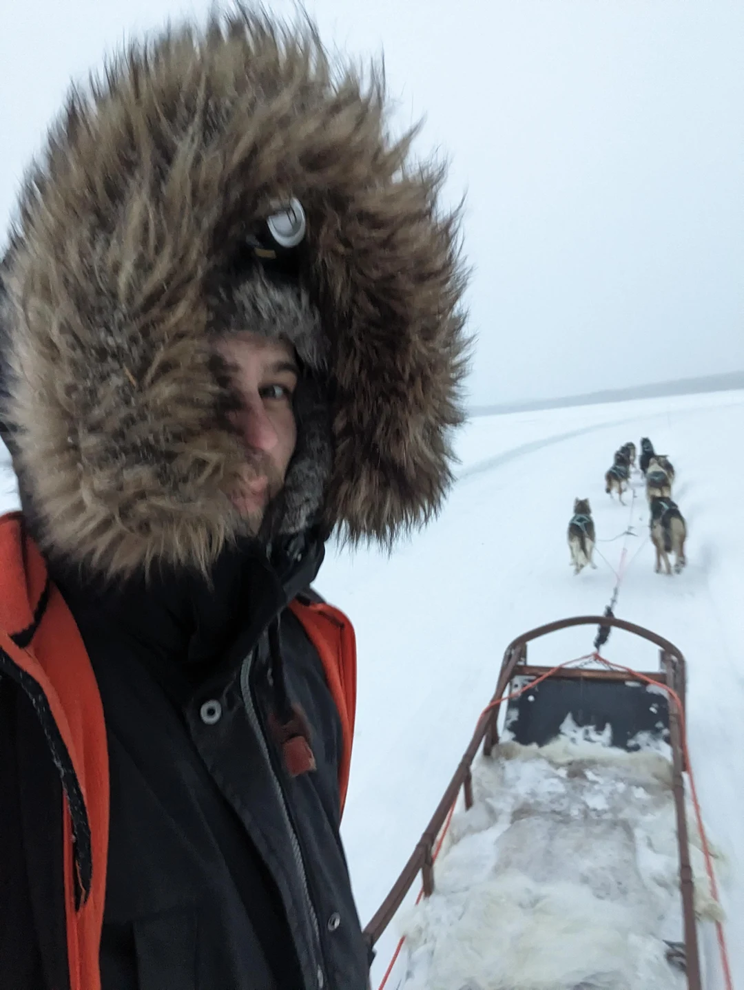 Living the good husky life | Scrolller