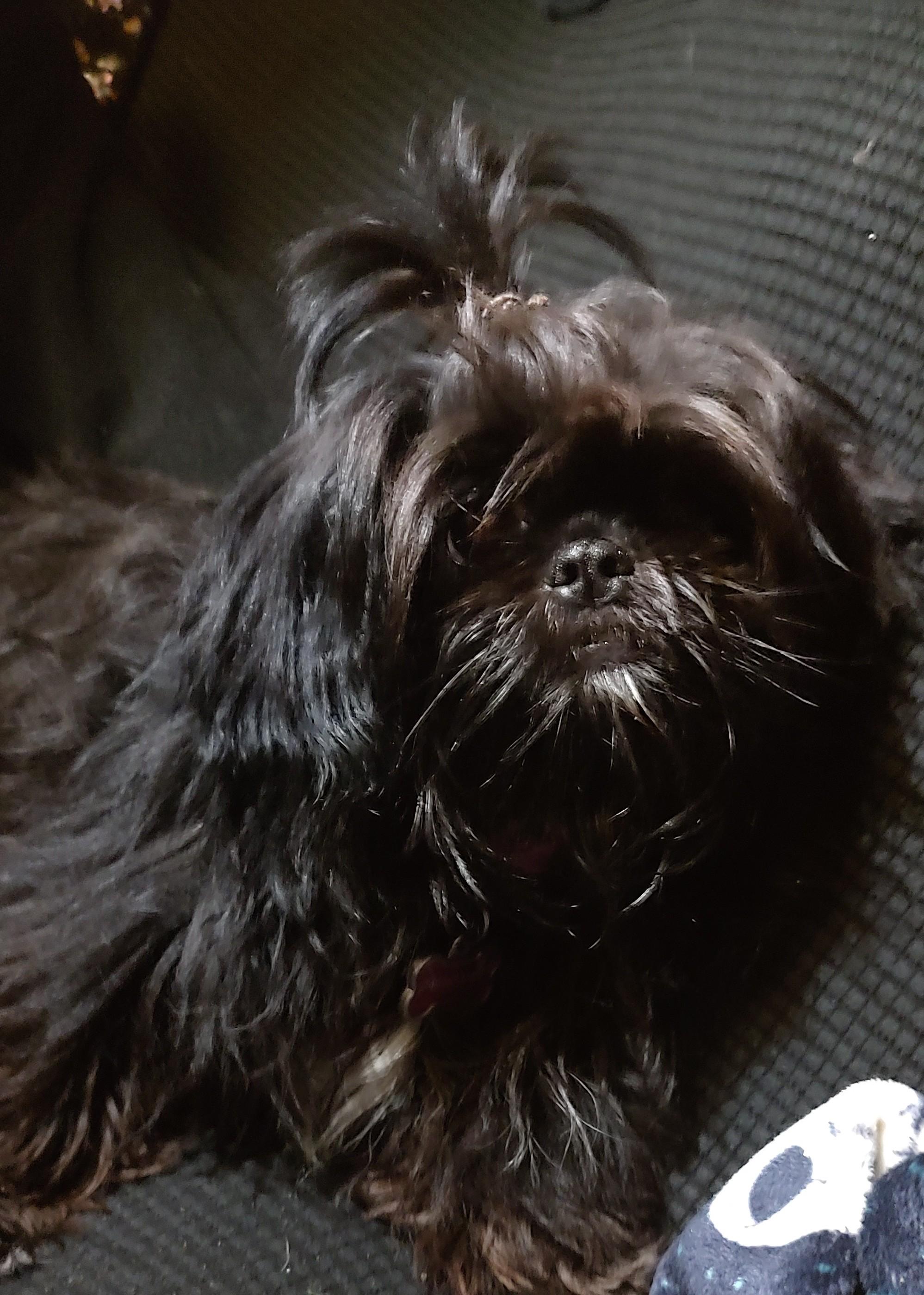 Journey Layne | Scrolller