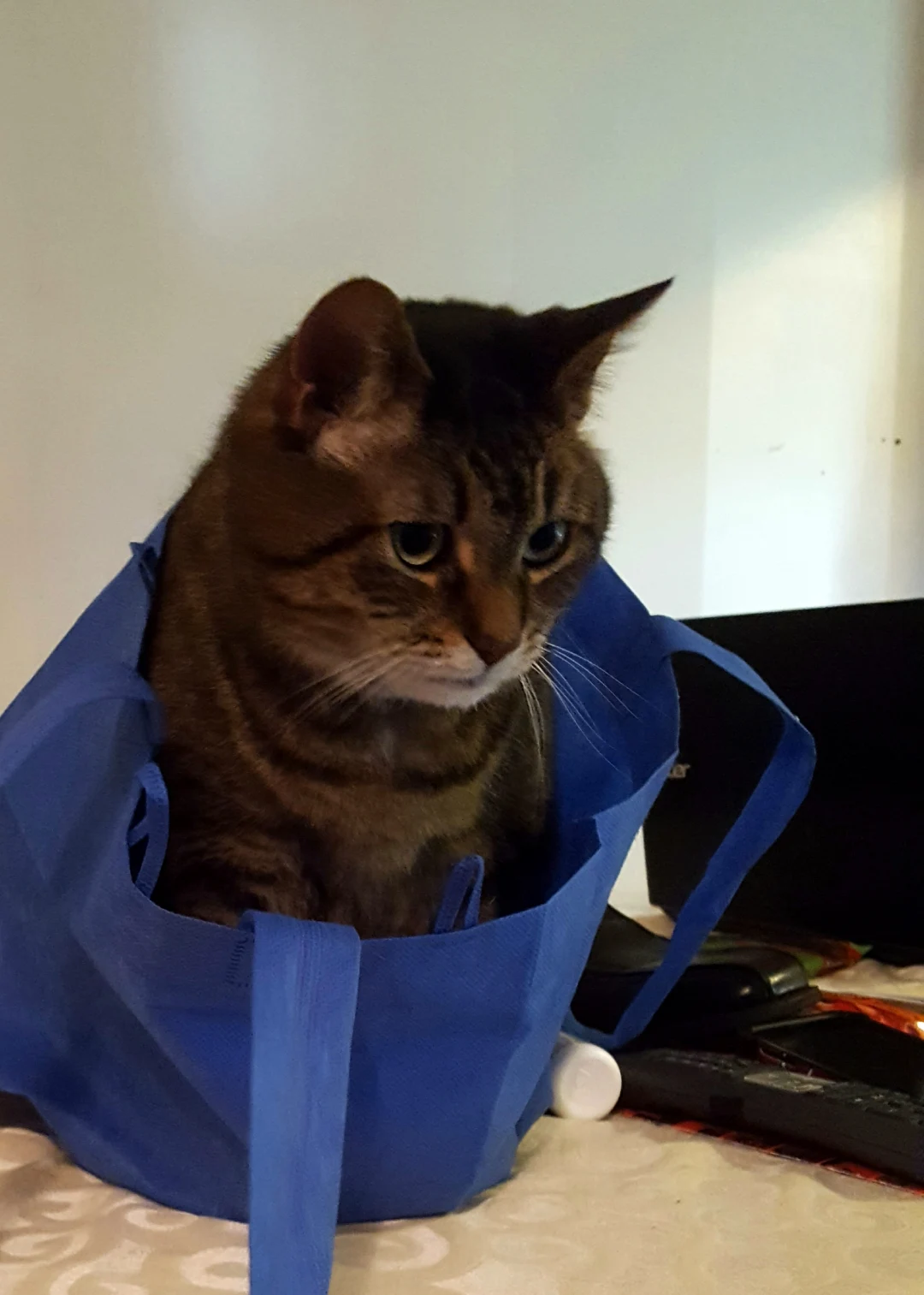 bagged a cute one! | Scrolller